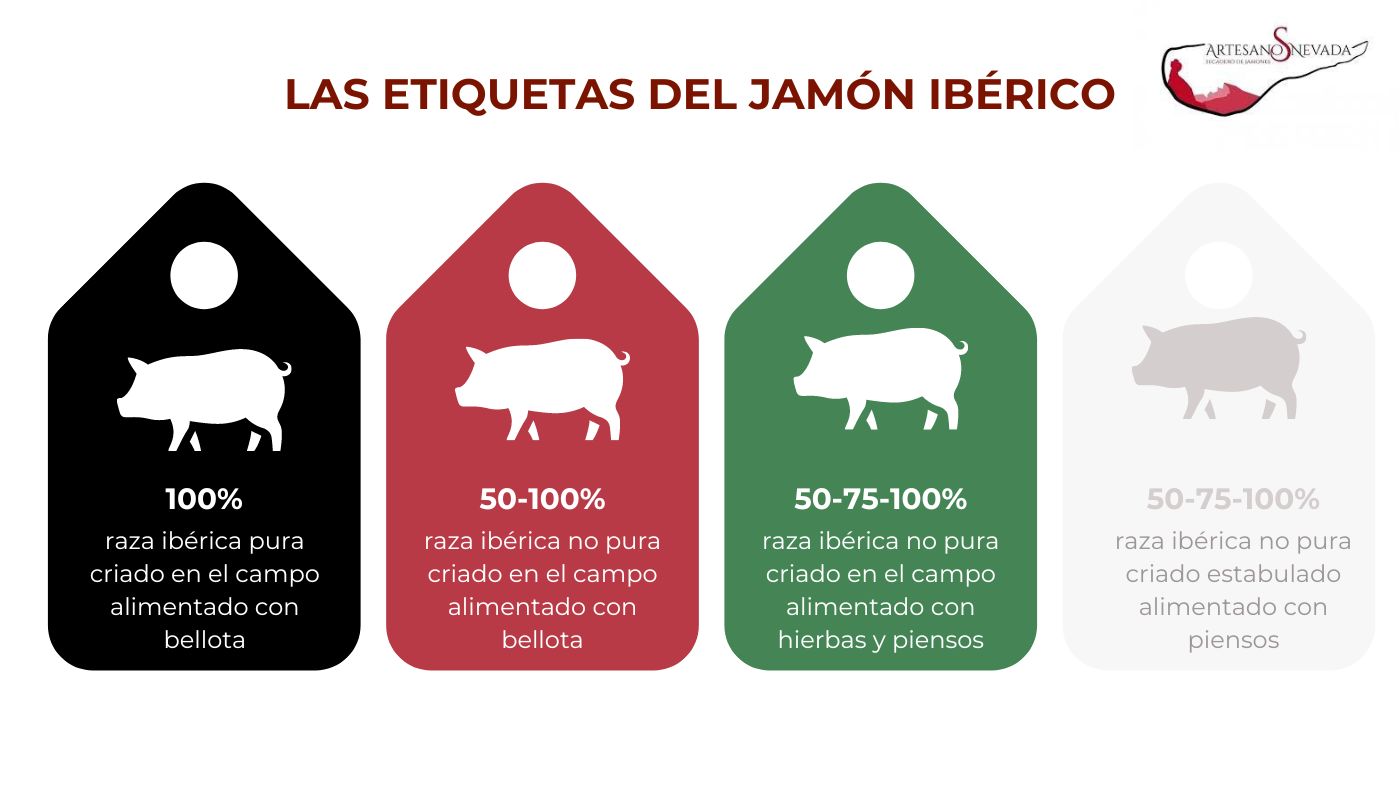 ¿Qué significan las etiquetas de color del jamón ibérico? - Artesanos ...